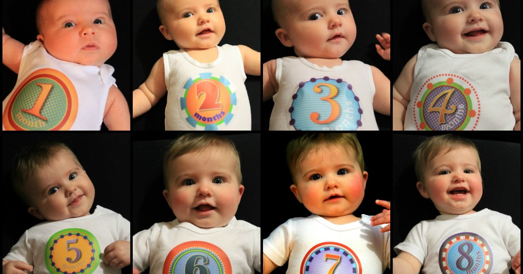 Eleven Months eleven-months