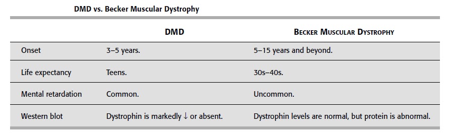 Medical Addicts: Duchenne Muscular Dystrophy (DMD) V/S Becker's Muscular Dystrophy- Differences ...