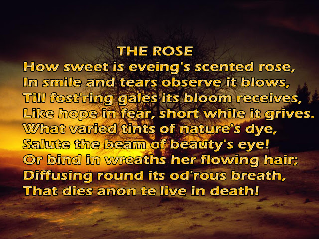 Short Good Poems With HD Wallpapers Free Download Poetry Likers short-good-poems-with-hd-wallpapers-free-download-poetry-likers