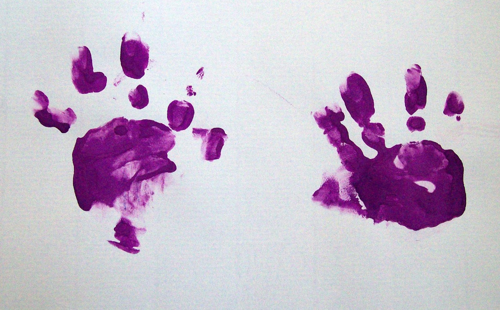 Questioning Answers Household Chemicals And Immunity questioning-answers-household-chemicals-and-immunity