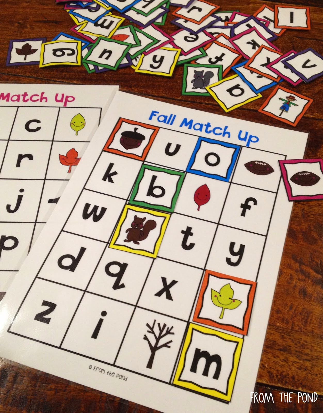 Visual Discrimination | From the Pond