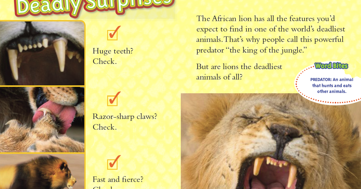Deadliest Animals Book