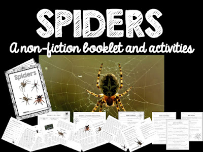 The Best of Teacher Entrepreneurs: Language Arts - "Spiders: Non ...