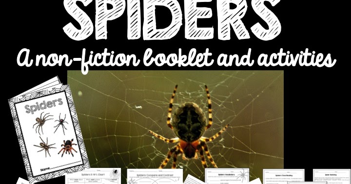 The Best of Teacher Entrepreneurs: Language Arts - "Spiders: Non ...