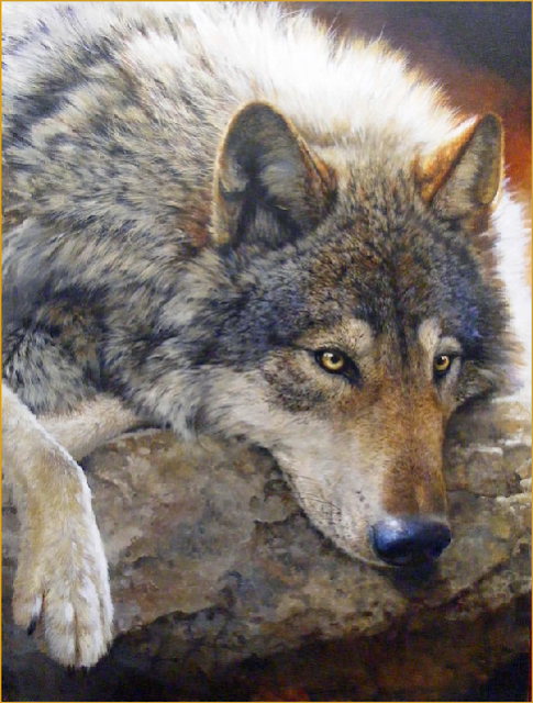 White Wolf : Bonnie Marris - wildlife artist of stunning realism