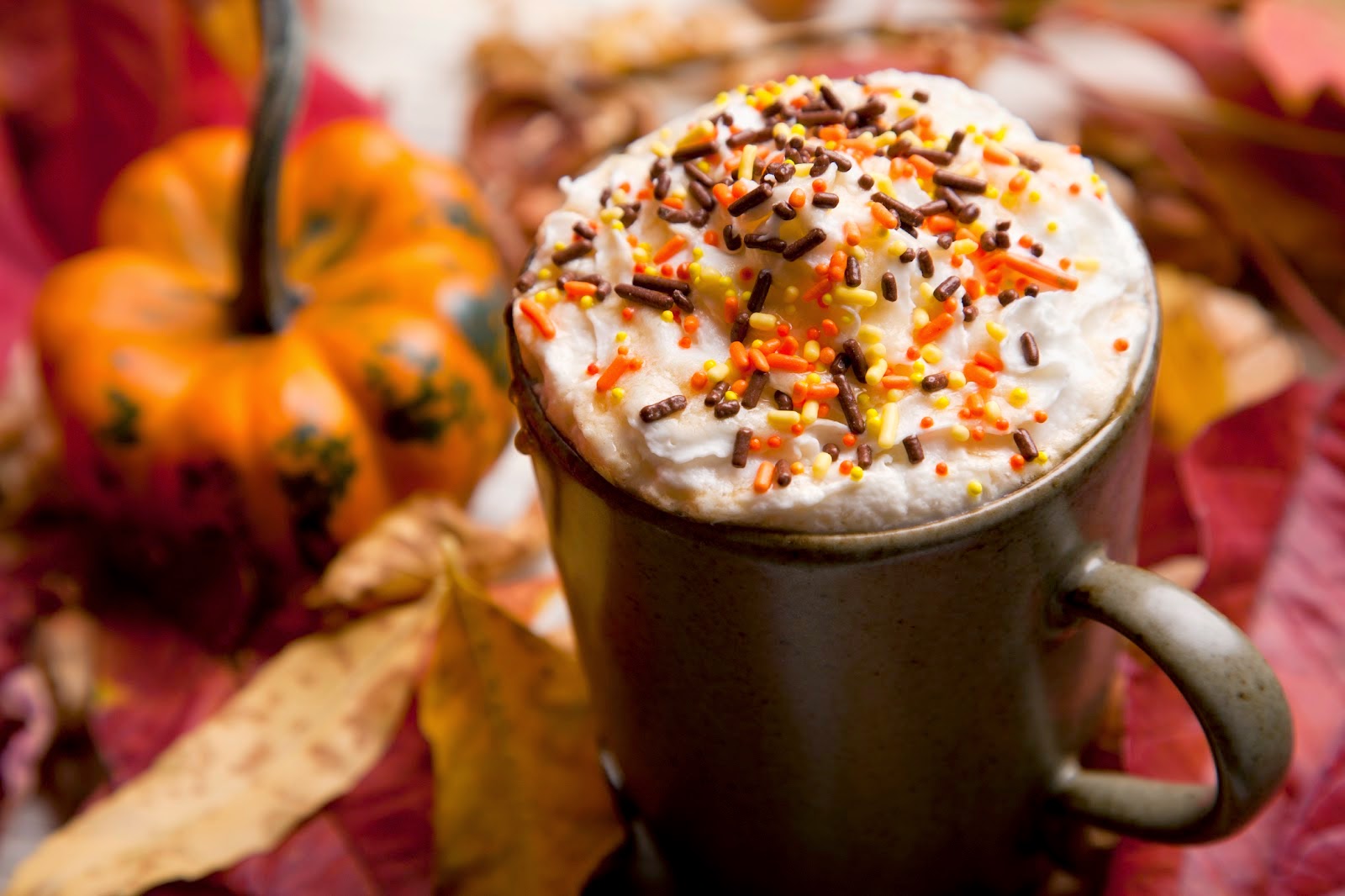 An Ode To Fall Drinks Emmasheehy an-ode-to-fall-drinks-emmasheehy