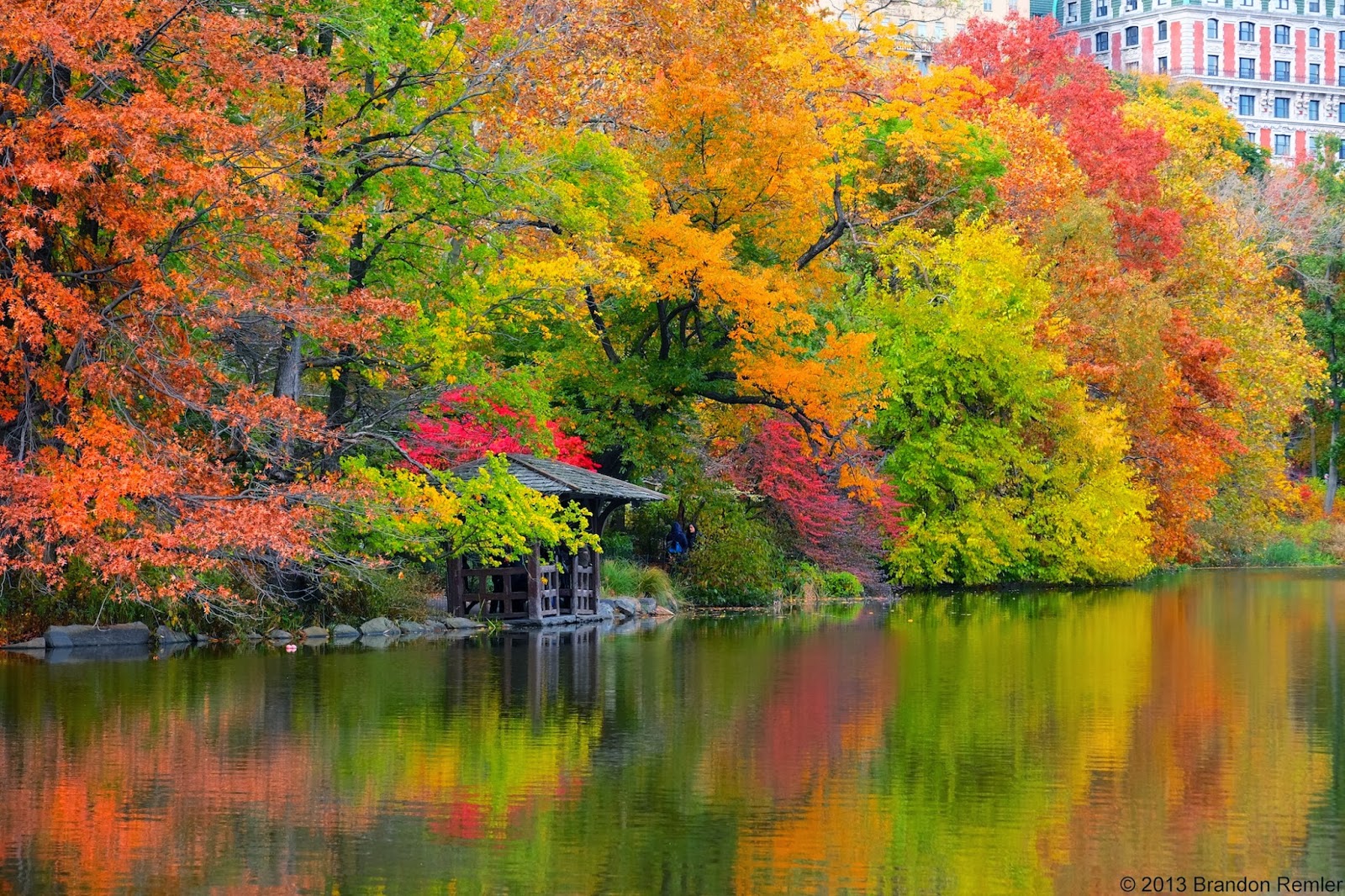 Thoughts From My Camera Central Park Fall Colors thoughts-from-my-camera-central-park-fall-colors