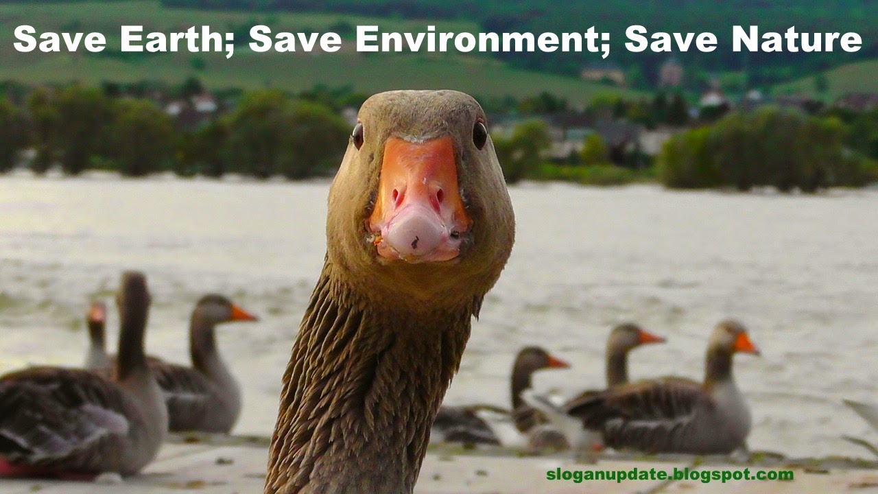 Slogan On Nature SloganUpdate slogan-on-nature-sloganupdate