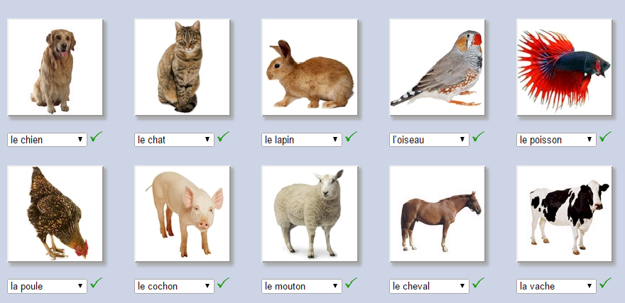 Vocabulaire français