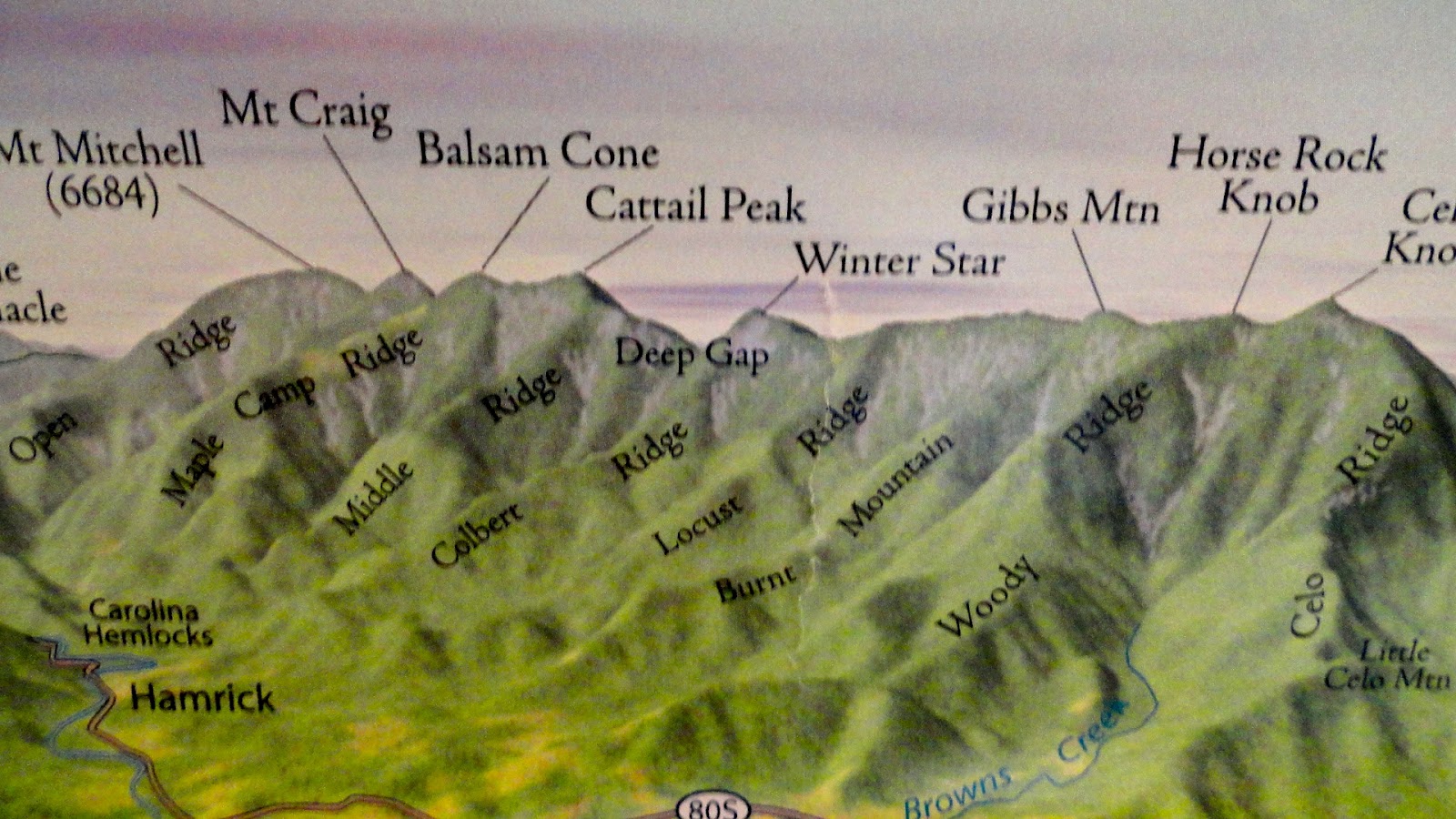 Making a Home in the Mountains - Katey Schultz