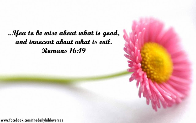 Daily Bible Verses Romans 16 19 daily-bible-verses-romans-16-19