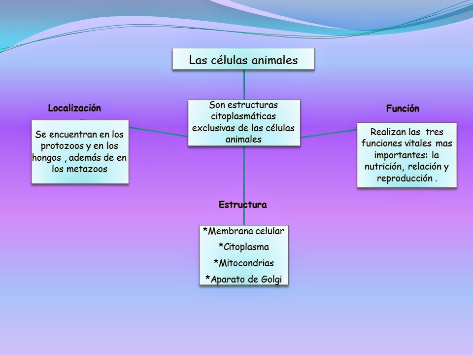 Mapas mentales y conceptuales : Mapa conceptual (Las células animales)