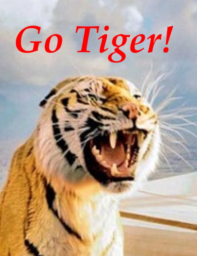 Amazing Pictures with Words