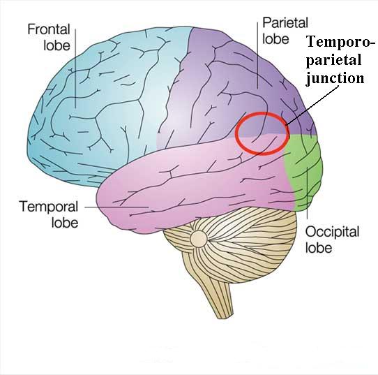 MIND Mindblindness And Theory Of Mind mind-mindblindness-and-theory-of-mind