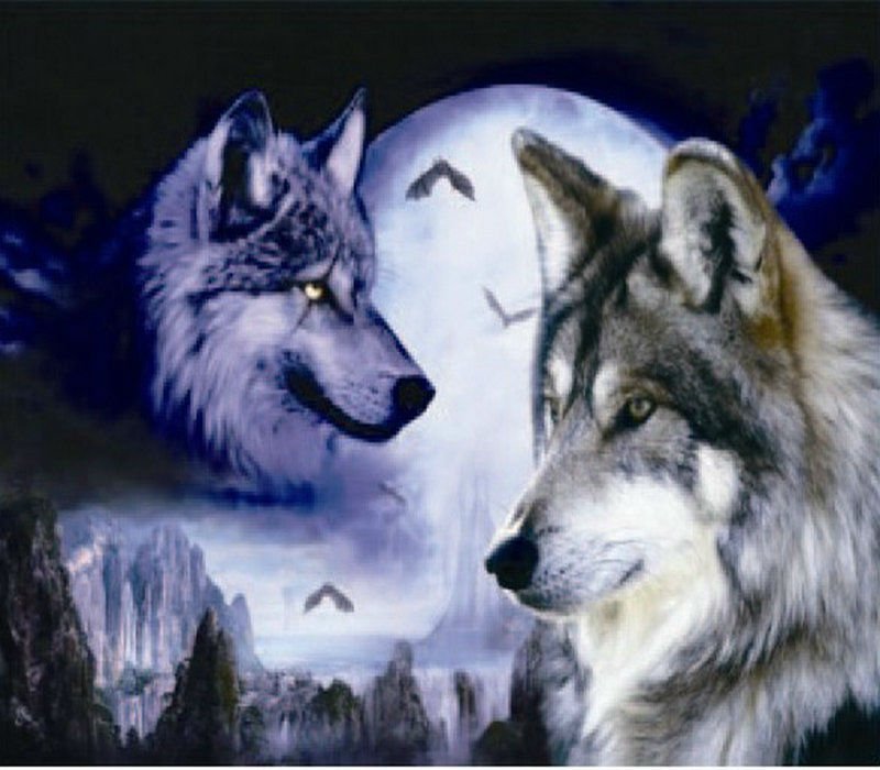 Lobos en 3D - Imagui