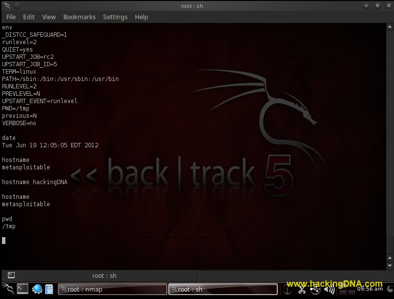HackingDNA: Exploit Distccd On BackTrack 5