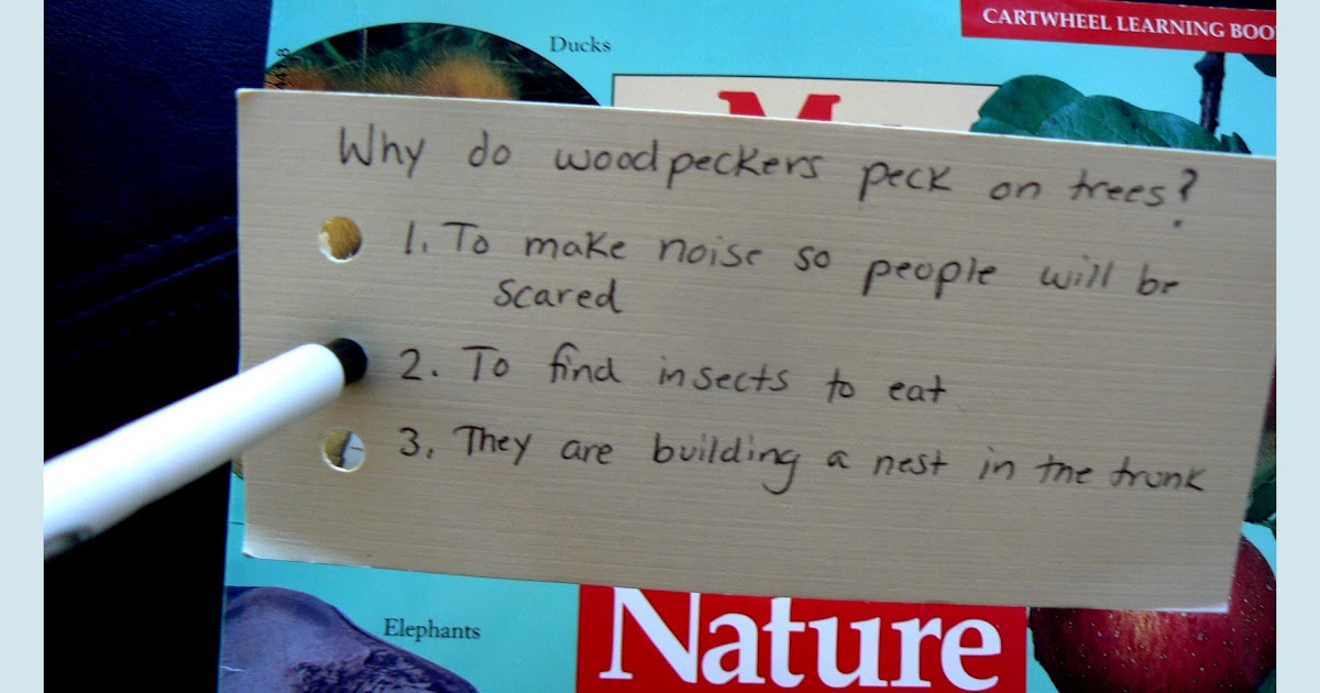 Having Fun at Home: Comprehension Cards