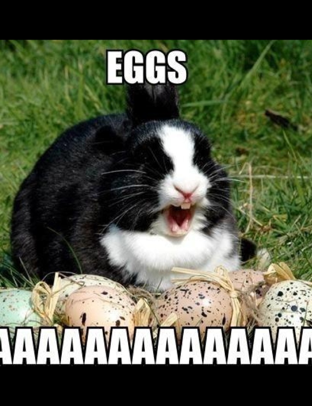 Amazing Pictures with Words