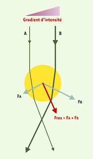 G6PSL: Le principe de la pince optique