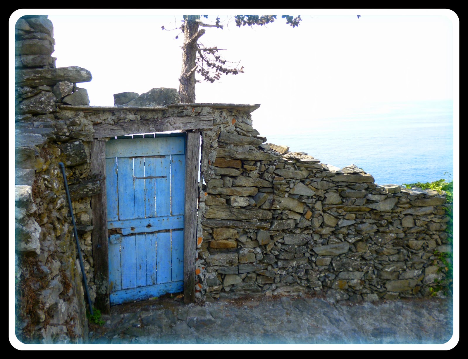 MiShel Designs: ~ Shel