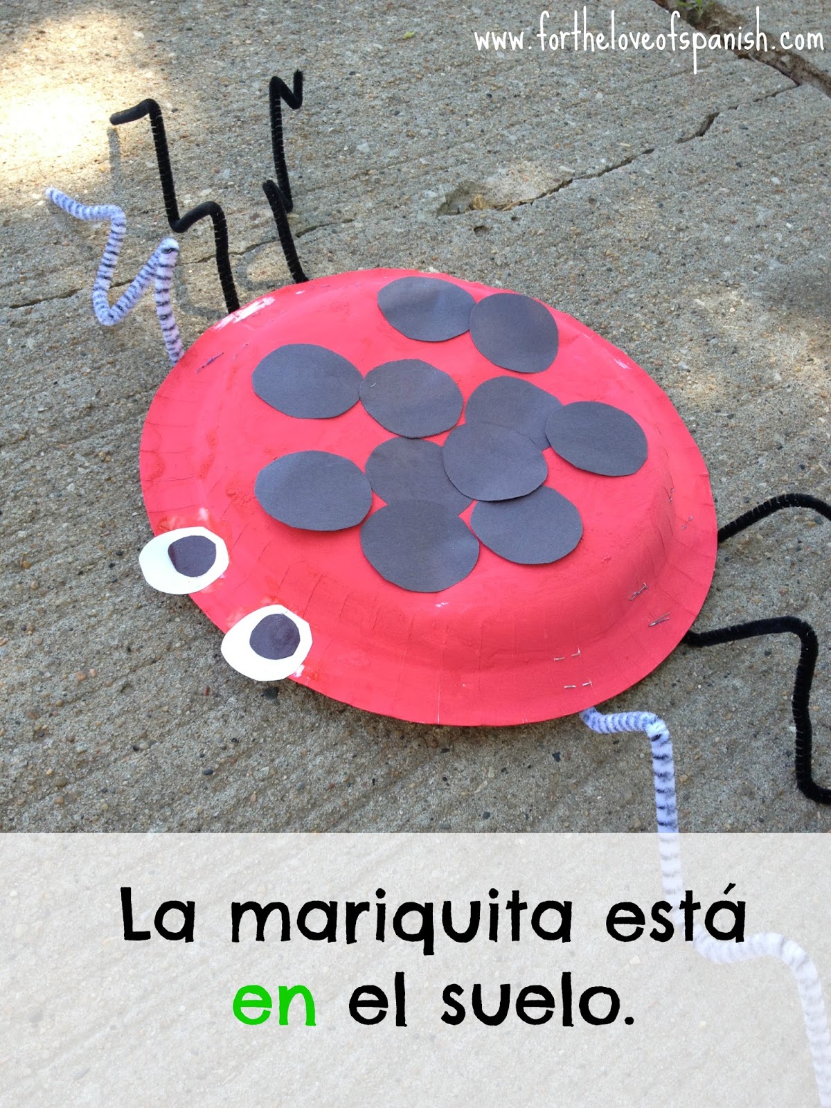 Learn Spanish with Ladybugs // Prepositions | For the Love of Spanish