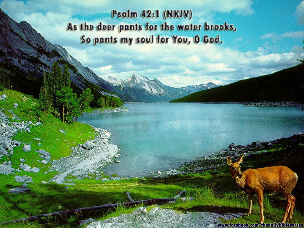 Daily Bible Verses Psalm 42 1 daily-bible-verses-psalm-42-1