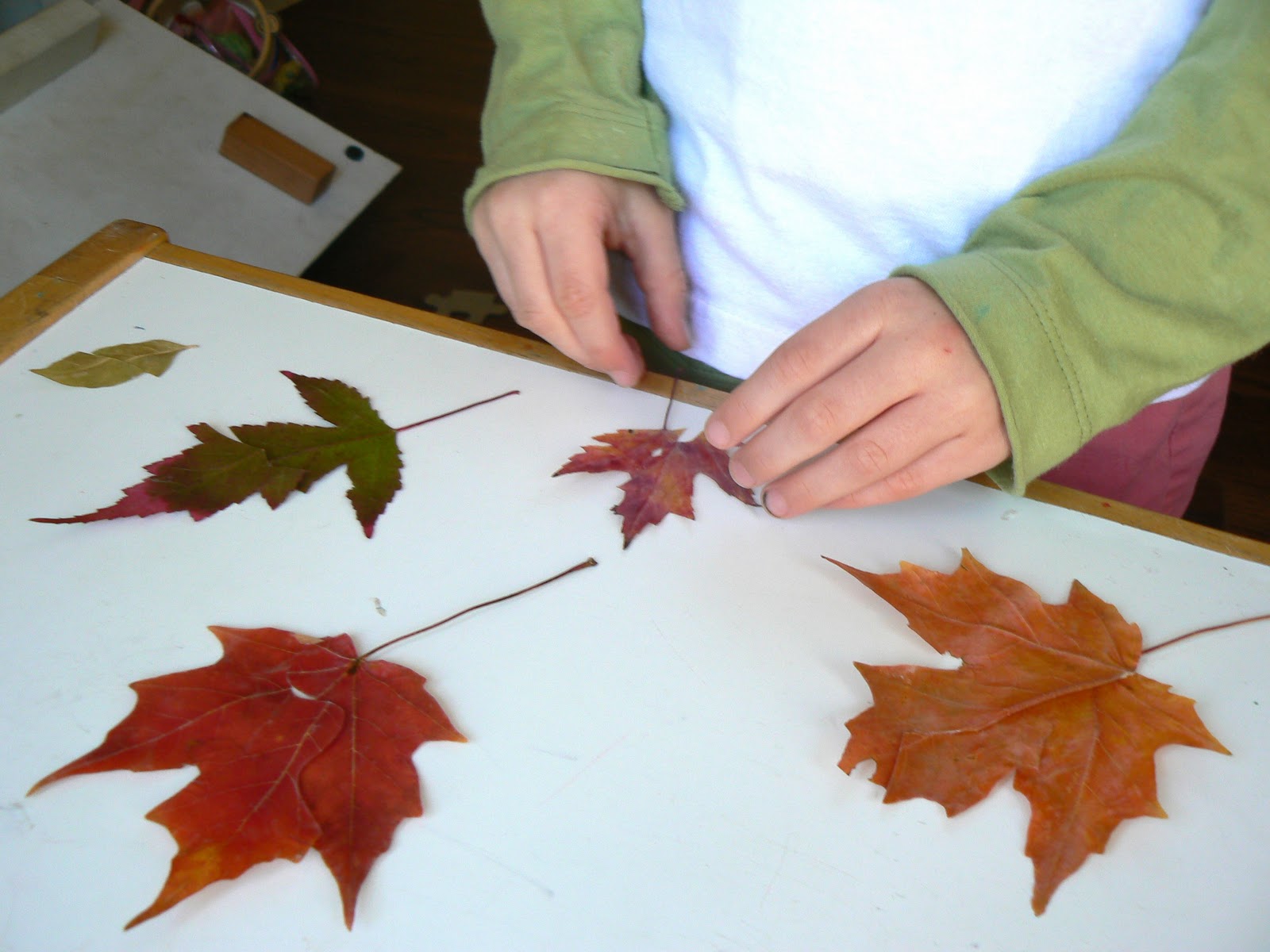 Having Fun at Home: Fall Leaf Puzzles