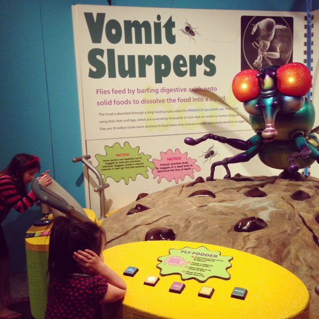 Animal Grossology at The Academy of Natural Sciences (and a GIVEAWAY ...