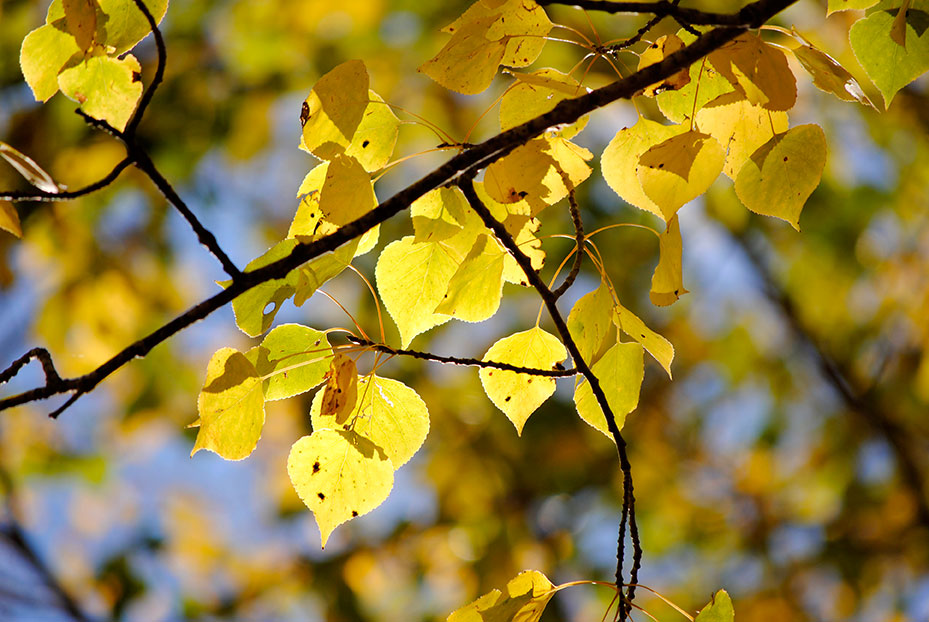 5 Reasons To Take A Hike Keeping With The Times 5-reasons-to-take-a-hike-keeping-with-the-times