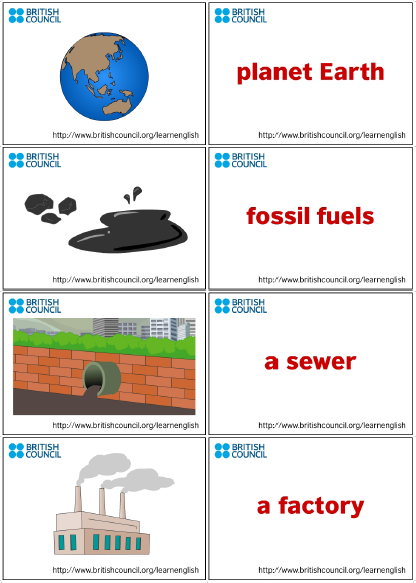 Our Environment: Flashcards gratuitas medio ambiente