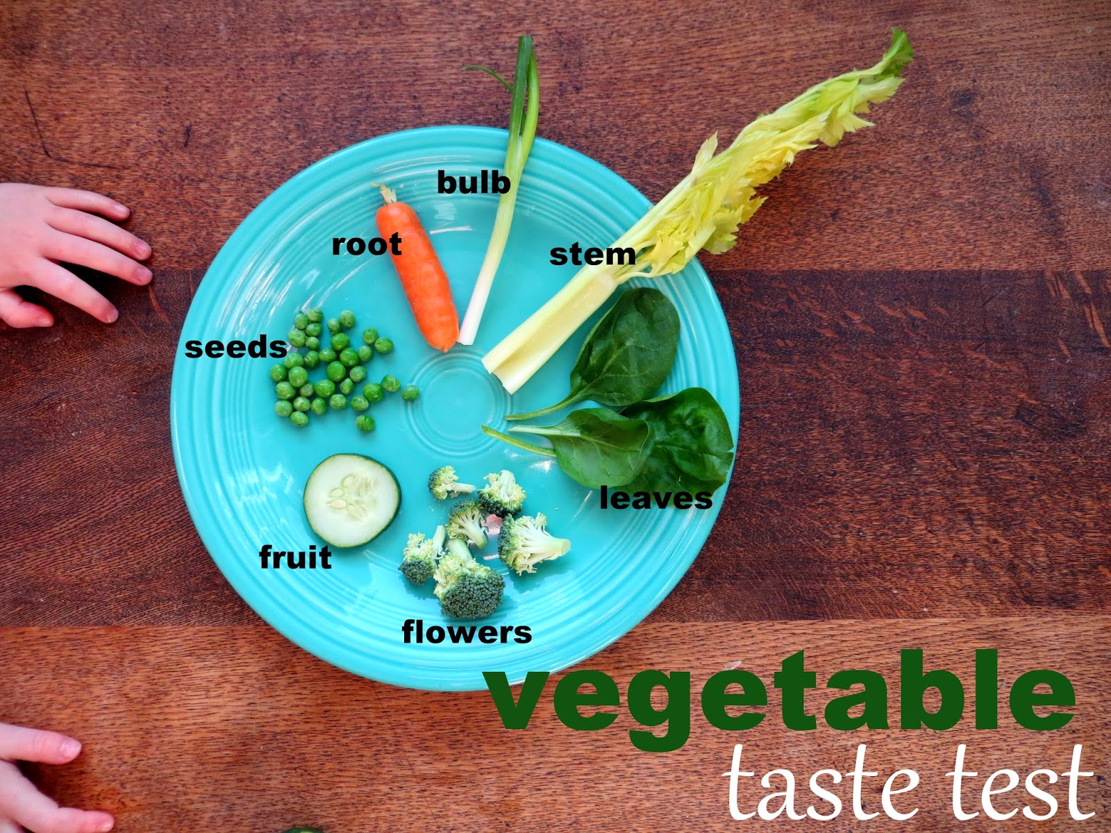 itty bitty love: vegetable taste test