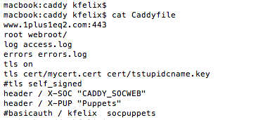!!INSTALL!! Caddyfile-example