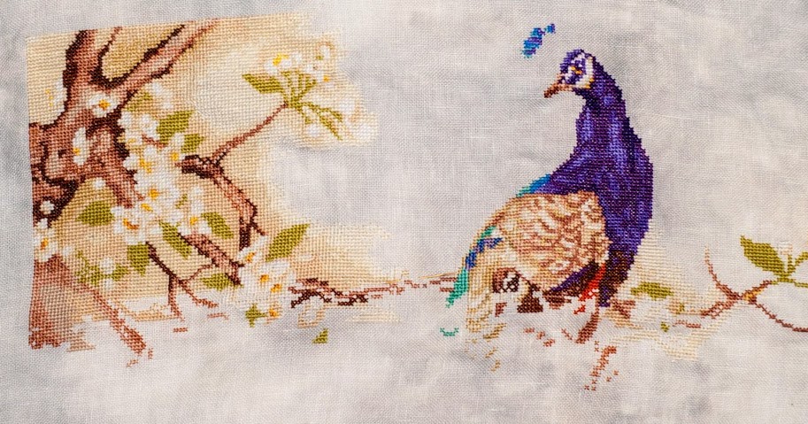 Committed Stitcher: Working On Background