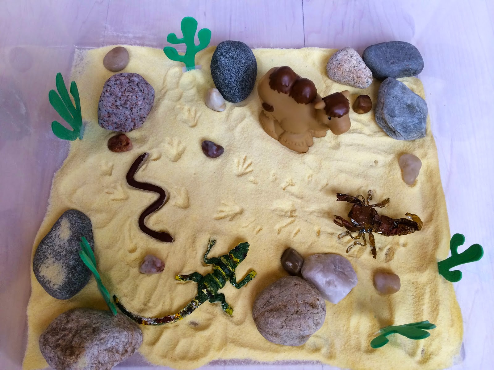Creative Projects For Kids Desert Sensory Bin creative-projects-for-kids-desert-sensory-bin