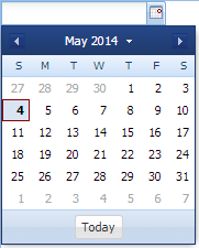 TechMight Solutions: Customizing Date Picker and Date Field in Ext JS