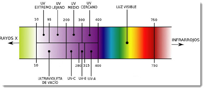 Avibert: octubre 2012