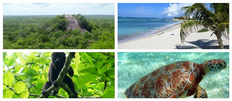 2013 MTBS Biology trip to Mexico, Operation Wallacea.: Kit List