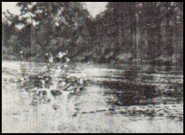 The White River Monster in Newport Arkansas - Cryptozoology of Arkansas