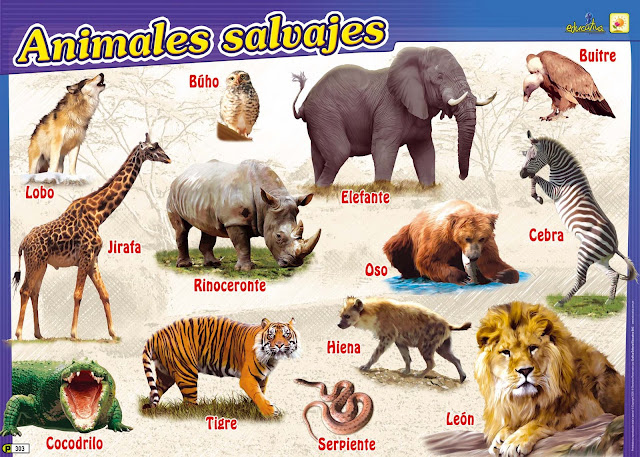 Animales salvajes con su nombre - Imagui