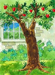 Fingerplays & Action Rhymes: Way up High in the Apple Tree