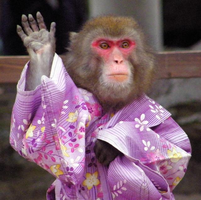 KJCLUB - makaroni2 : 世界の認識 Laliga >>> Serie-A