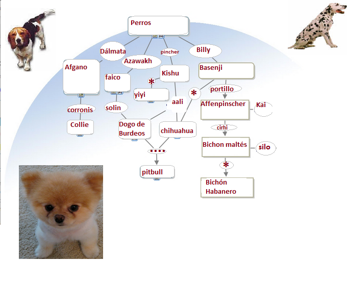 Angela María Soto: Mapas conceptuales en CMAP TOOLS
