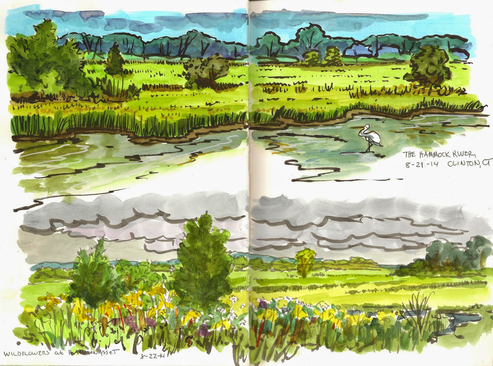 Jan Blencowe's Sketchbook Hypothesis: Nature Sketches Jan Blencowe's Sketchbook Hypothesis: Nature Sketches