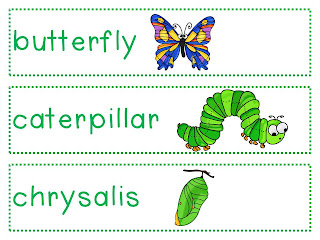 Mrs. Hankinson's Class: Butterflies!