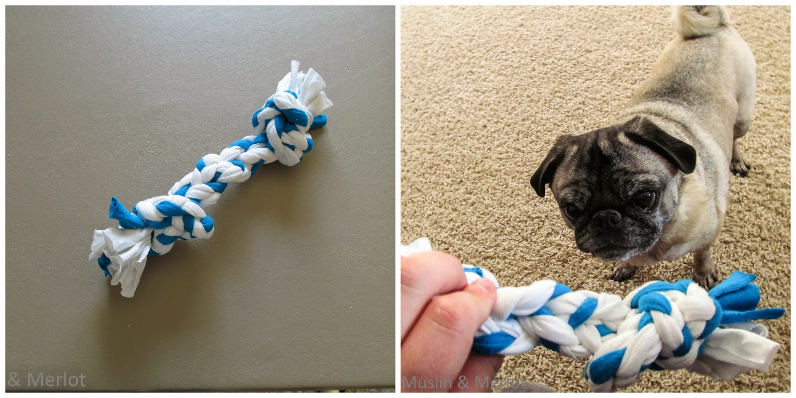DIY T shirt Dog Toy Muslin And Merlot diy-t-shirt-dog-toy-muslin-and-merlot