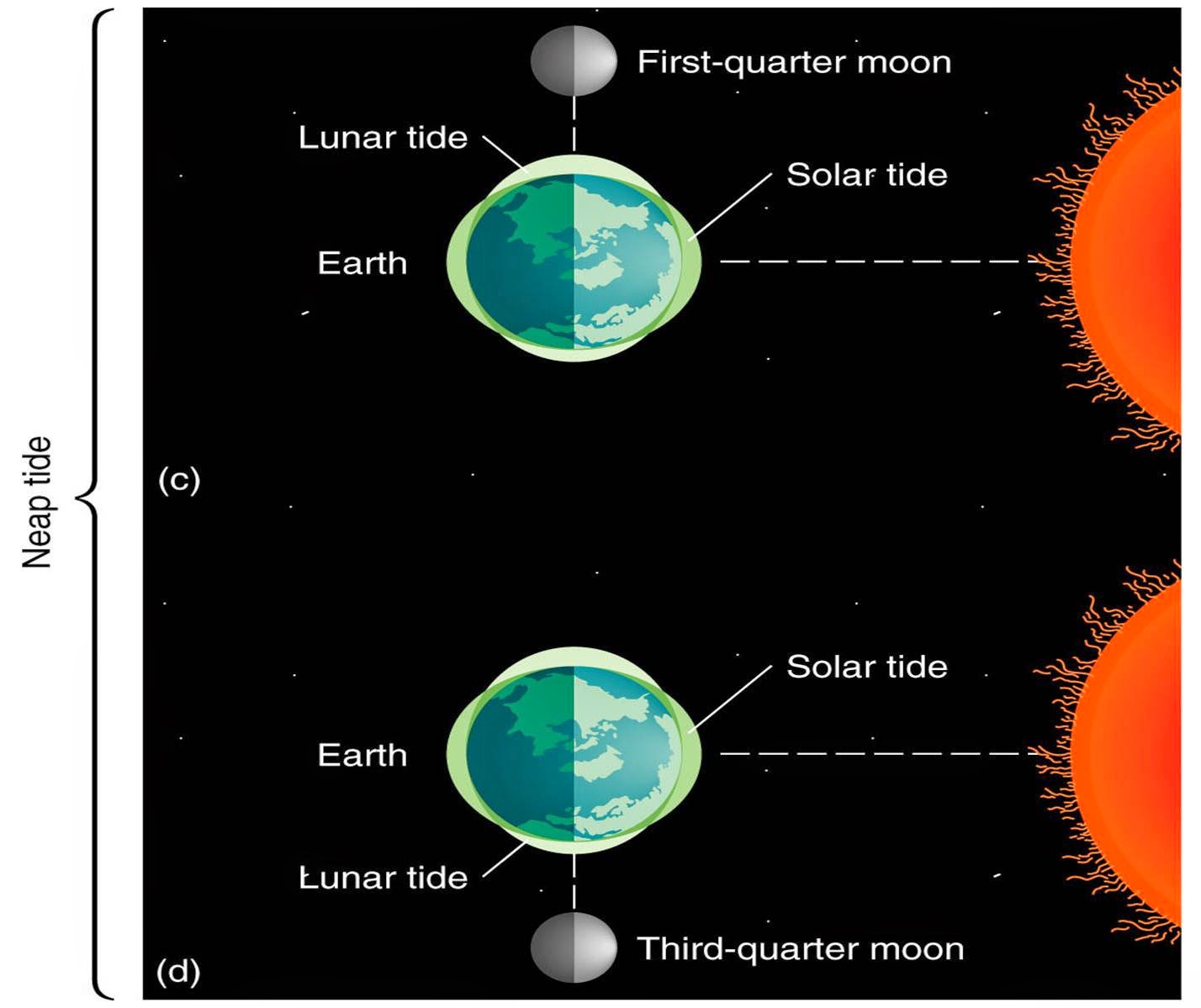 INDIA WAVE: Tides ( Moon and Earth's phenomenal changes )