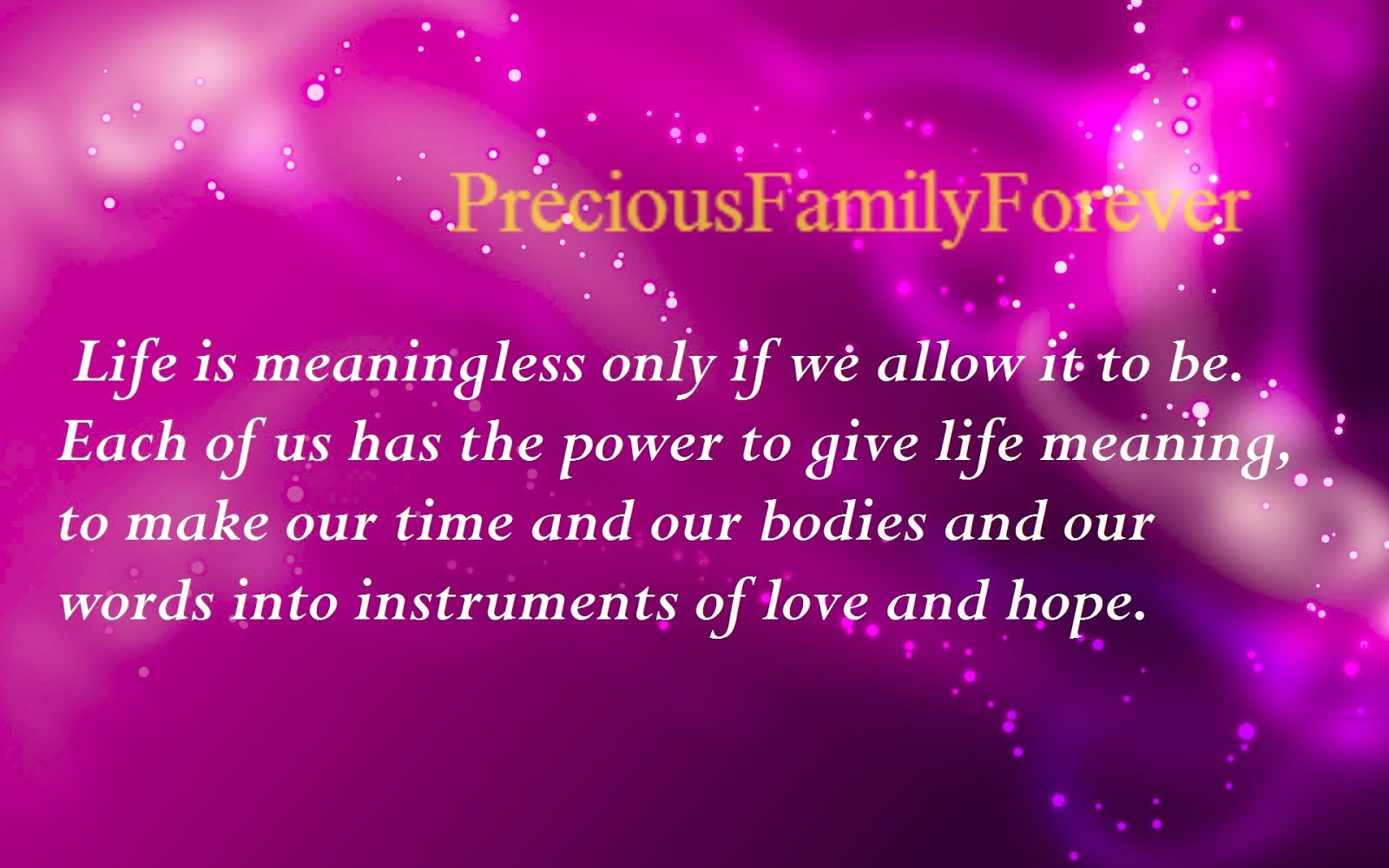 Precious Family Life Is Meaningless Only If We Allow It To Be precious-family-life-is-meaningless-only-if-we-allow-it-to-be