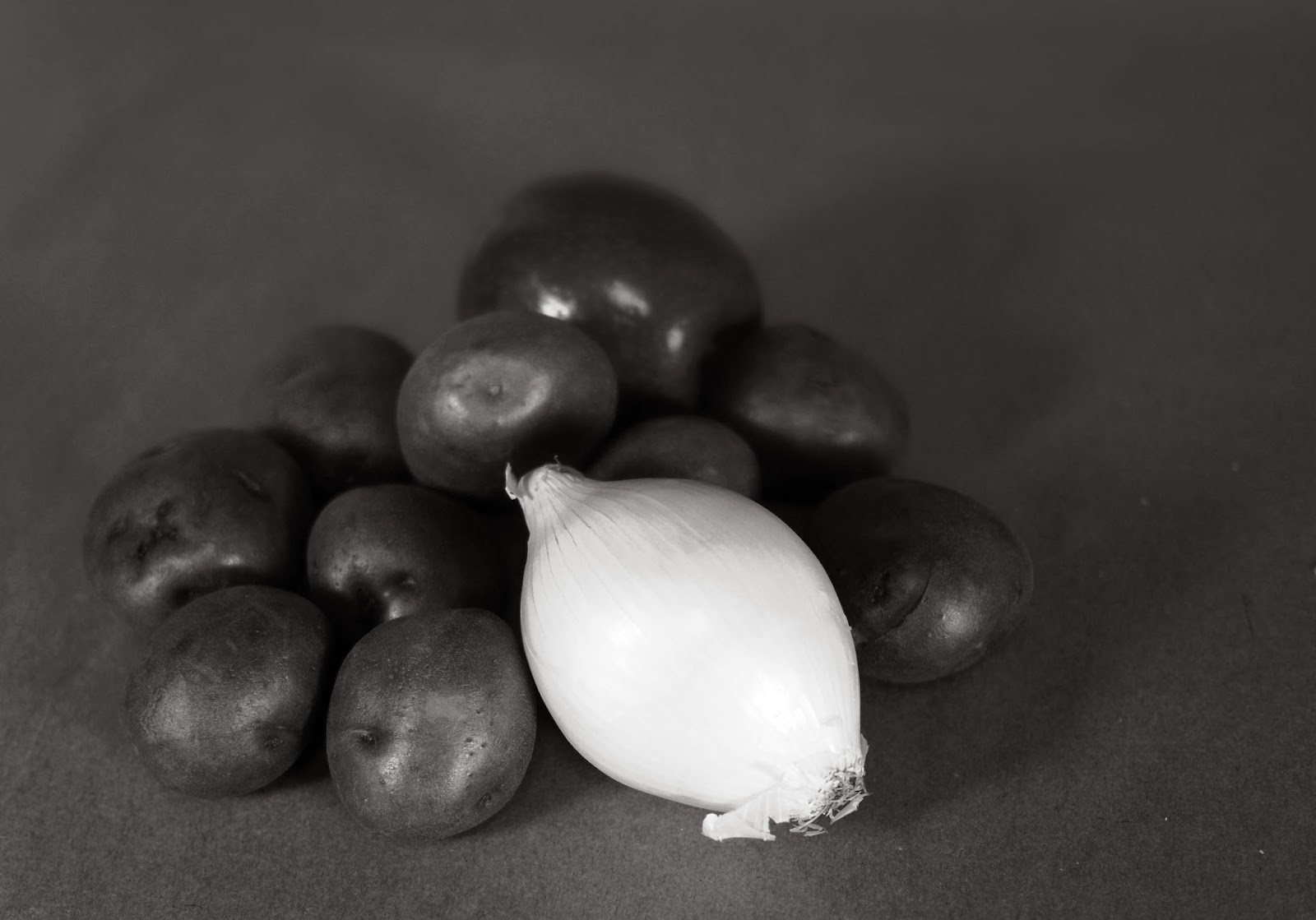 Introduction to the Studio: Still Life