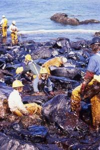 49 History: Exxon Valdez Oil Spill Litigation Records Appraisal and ...