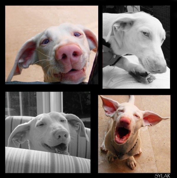 Blog Archives - masterfoundry